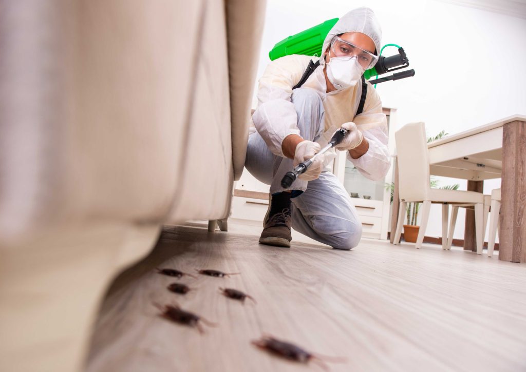 Get Reliable Pest Control Services in Akron, OH Now!